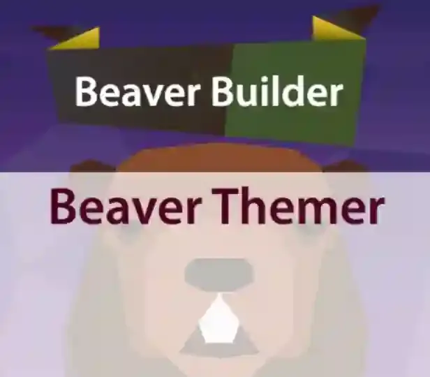 Beaver Themer 汉化版-Beaver Builder页面编辑器增强插件_盛龙科技