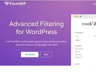 FacetWP 汉化版-多维度筛选器wordpress插件（+addones）_盛龙科技